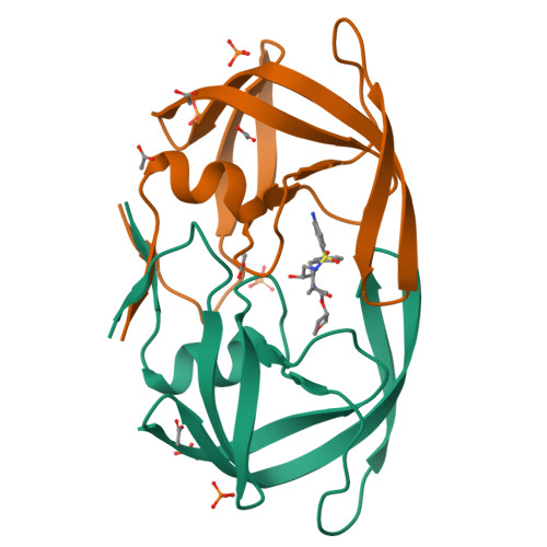 RCSB PDB - 3EKP: Crystal Structure of the inhibitor Amprenavir (APV) in ...