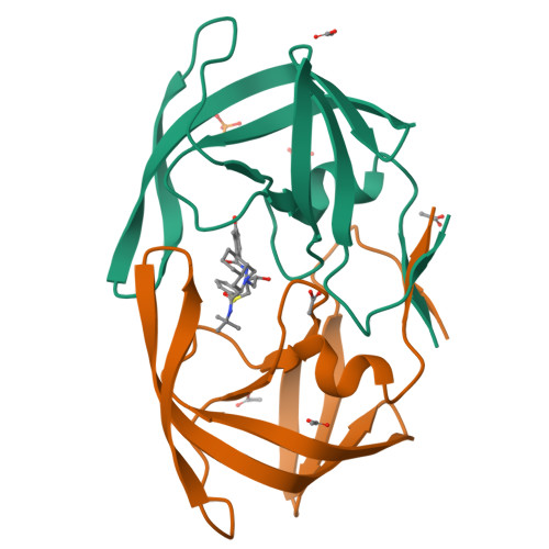 RCSB PDB - 3EL0: Crystal structure of the inhibitor Nelfinavir (NFV) in ...