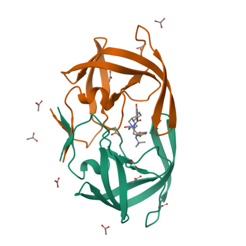 RCSB PDB - 3EL5: Crystal structure of nelfinavir (NFV) complexed with a ...