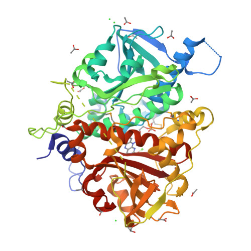 RCSB PDB - 3EO7: Crystal structure of a putative nitroreductase (ava ...