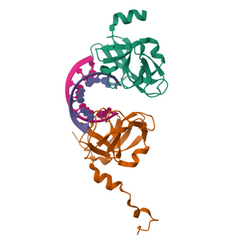 RCSB PDB - 3EQT: Crystal structure of human LGP2 C-terminal domain in ...