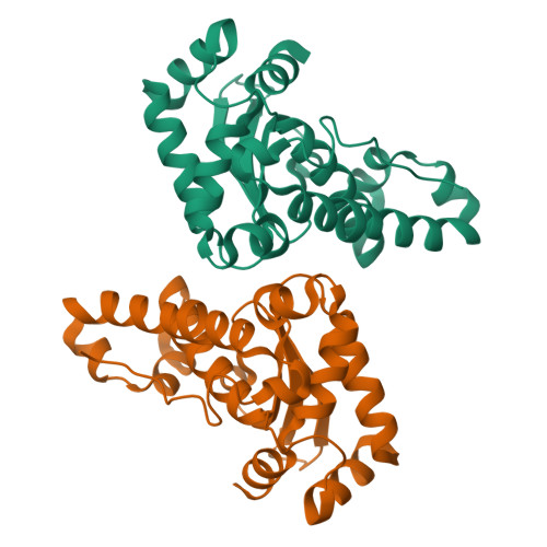 Superoxide Dismutase Structure