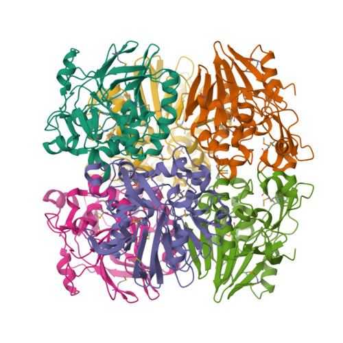 RCSB PDB - 3ESH: Crystal structure of a probable metal-dependent ...