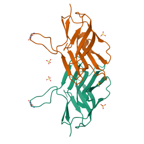 RCSB PDB - 3ESM: Crystal structure of an uncharacterized protein from ...