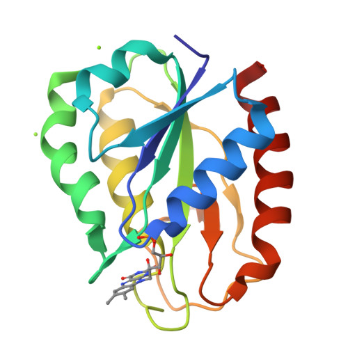 RCSB PDB - 3ESZ: K2AK3A Flavodoxin from Anabaena
