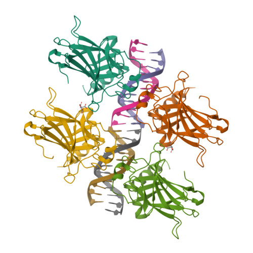 RCSB PDB - 3EXJ: Crystal Structure of a p53 Core Tetramer Bound to DNA