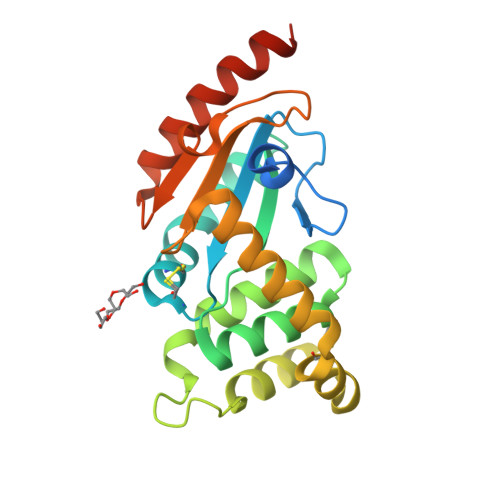 RCSB PDB - 3F4S: Crystal structure of Wolbachia pipientis alpha-DsbA1 T172V