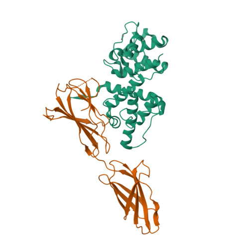 RCSB PDB - 3F7P: Crystal structure of a complex between integrin beta4 ...