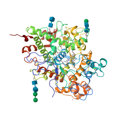 RCSB PDB - 3FAQ: Crystal structure of lactoperoxidase complex with cyanide