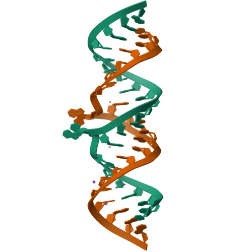 RCSB PDB - 3FAR: Cation-dependent self-cleavage activity in the duplex ...