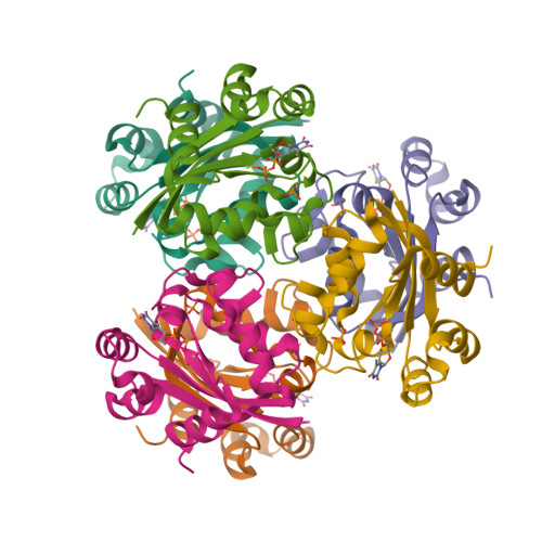 RCSB PDB - 3FBC: Crystal structure of the Mimivirus NDK N62L-R107G ...