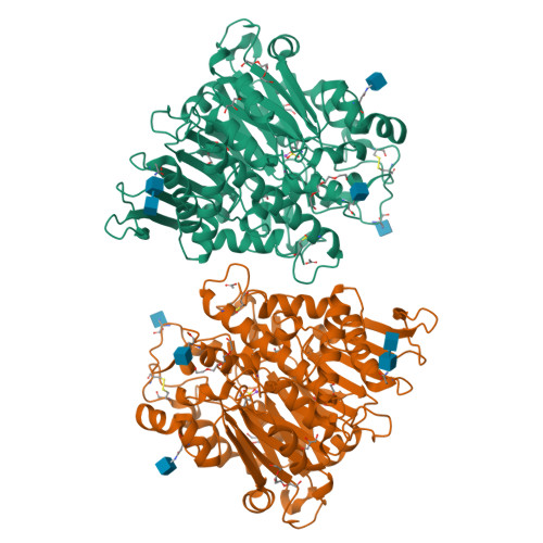 RCSB PDB - 3FBX: Crystal structure of the lysosomal 66.3 kDa protein ...