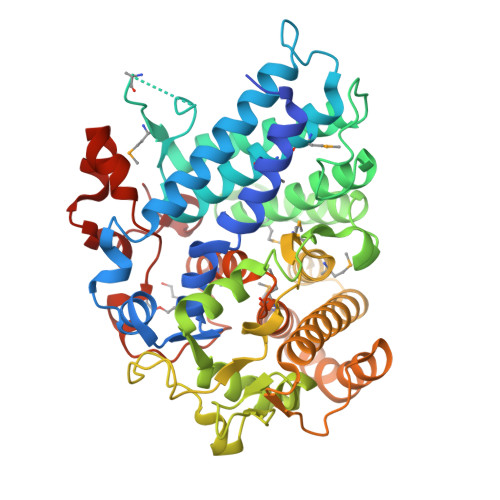 RCSB PDB - 3FDH: Crystal structure of a susd/ragb family protein (bt ...