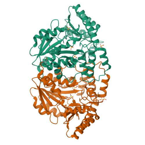 RCSB PDB - 3FFH: The crystal structure of histidinol-phosphate ...