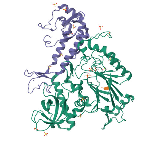 RCSB PDB - 3FLO: Crystal structure of the carboxyl-terminal domain of ...