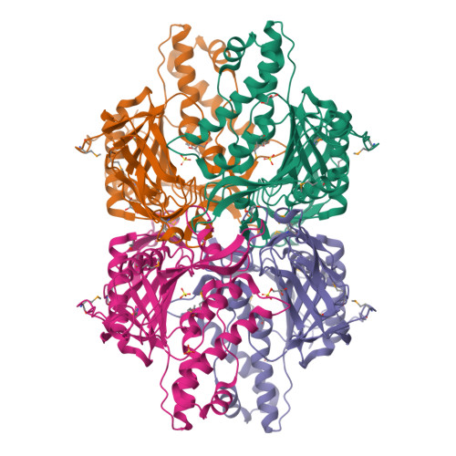 RCSB PDB - 3FMC: CRYSTAL STRUCTURE OF a putative succinylglutamate ...