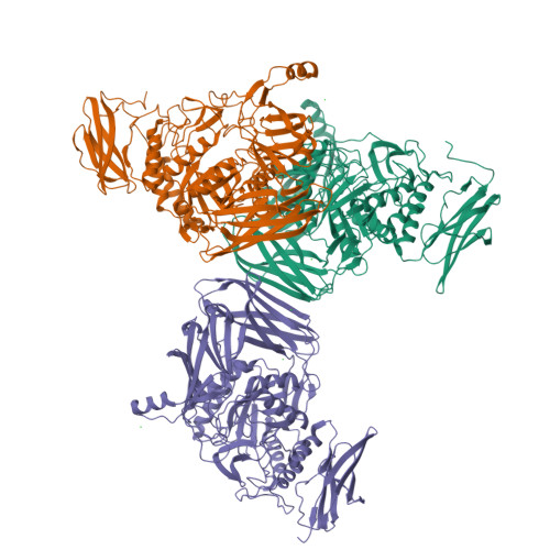 RCSB PDB - 3FN9: Crystal structure of putative beta-galactosidase from ...