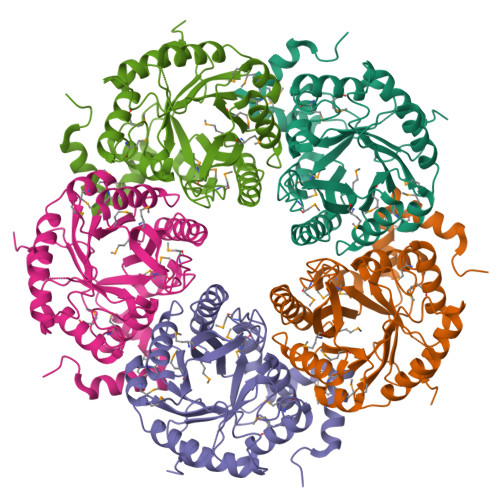RCSB PDB - 3FOK: Crystal Structure of Cgl0159 From Corynebacterium ...