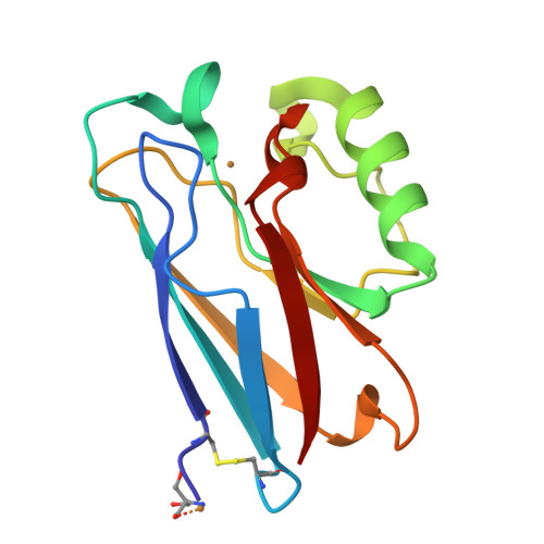 RCSB PDB - 3FQY: Azurin C112D
