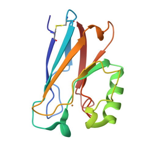 RCSB PDB - 3FT0: Pseudomonas aeruginosa Azurin with mutated metal ...