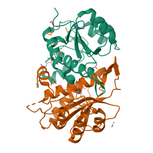 RCSB PDB - 3G14: Crystal structure of nitroreductase family protein (YP ...