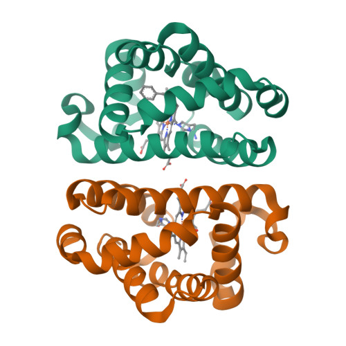 RCSB PDB - 3G52: Ligand migration and cavities within scapharca dimeric ...