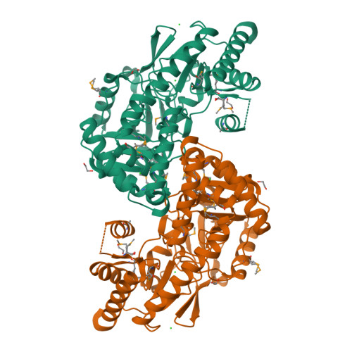 RCSB PDB - 3G7Q: Crystal structure of valine-pyruvate aminotransferase ...
