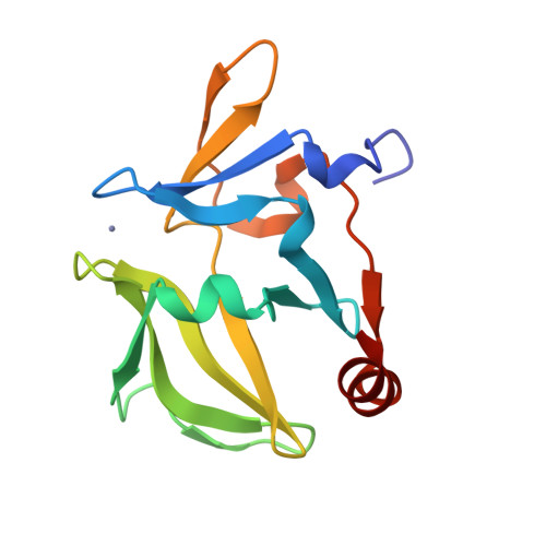 RCSB PDB - 3GA3: Crystal structure of the C-terminal domain of human MDA5