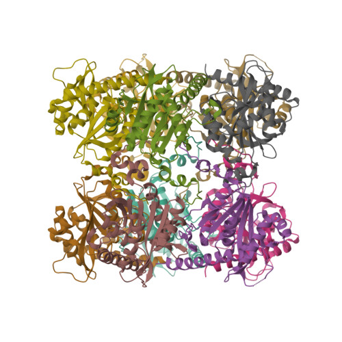 RCSB PDB - 3GAA: The crystal structure of the protein with unknown ...