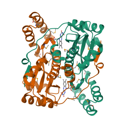 RCSB PDB - 3GE6: CRYSTAL STRUCTURE OF A PUTATIVE NITROREDUCTASE IN ...