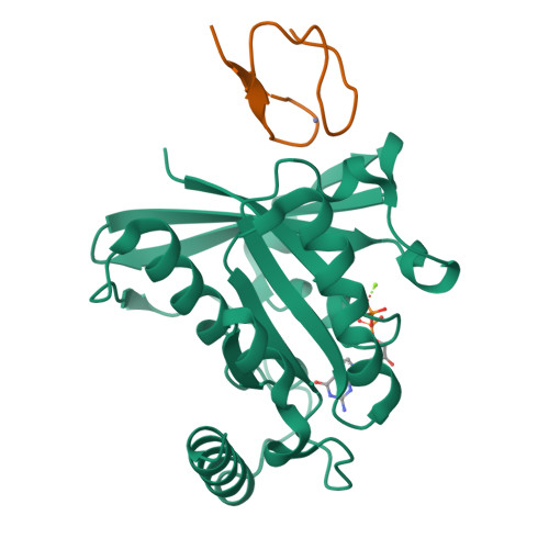 RCSB PDB - 3GJ4: Crystal structure of human RanGDP-Nup153ZnF3 complex