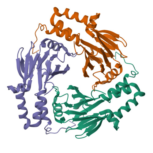 RCSB PDB - 3GMJ: Crystal structure of MAD MH2 domain