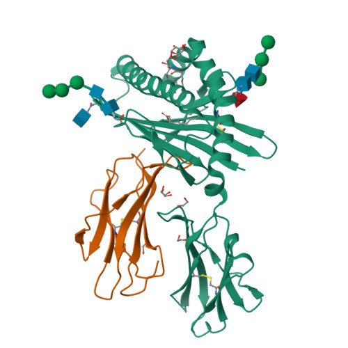 RCSB PDB - 3GMP: Structure of mouse CD1d in complex with PBS-25