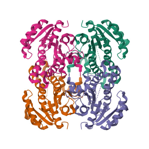 RCSB PDB - 3GRK: Crystal structure of short chain dehydrogenase ...