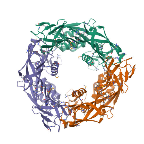 RCSB PDB - 3GS9: Crystal structure of prophage tail protein gp18 (NP ...