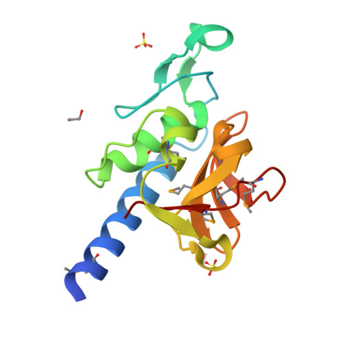 RCSB PDB - 3GT2: Crystal Structure of the P60 Domain from M. avium ...