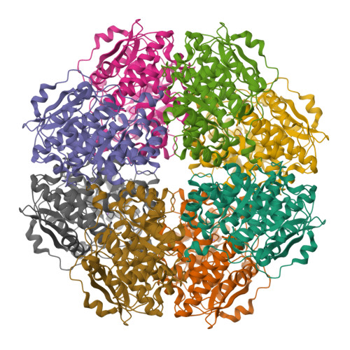 RCSB PDB - 3H12: Crystal structure of putative mandelate racemase from ...