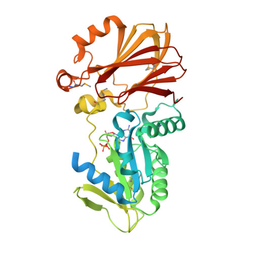 RCSB PDB - 3H2Y: Crystal structure of YqeH GTPase from Bacillus ...