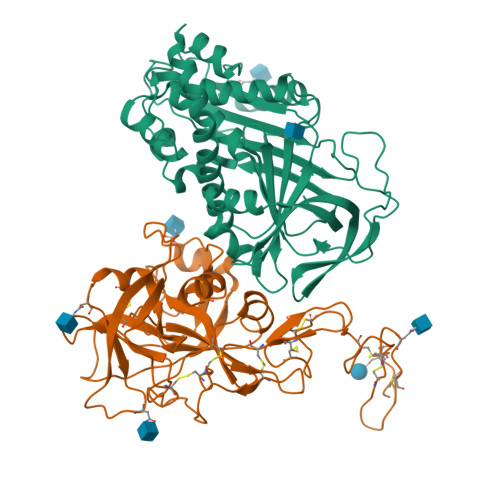 RCSB PDB - 3H5C: X-Ray Structure of Protein Z-Protein Z Inhibitor Complex