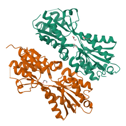RCSB PDB - 3HCW: CRYSTAL STRUCTURE OF PROBABLE maltose operon ...