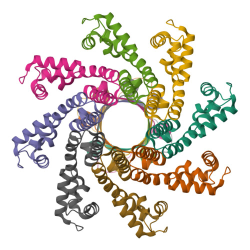 RCSB PDB - 3HEF: Crystal structure of the bacteriophage Sf6 terminase ...