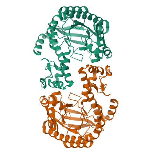 RCSB PDB - 3HFY: Mutant of tRNA-guanine transglycosylase (K52M)