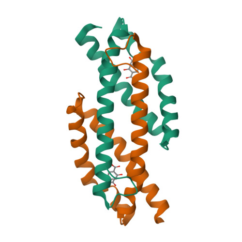 RCSB PDB - 3HGX: Crystal Structure of Pseudomonas aeruginosa ...