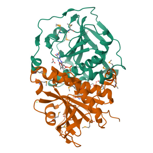 RCSB PDB - 3HJ9: Crystal structure of a putative nitroreductase (reut ...