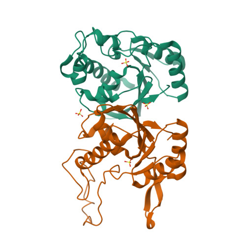 RCSB PDB - 3HJG: Crystal structure of putative alpha-ribazole-5 ...