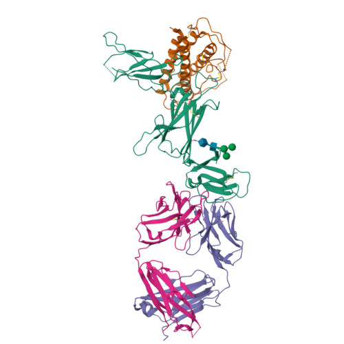 RCSB PDB - 3HMX: Crystal structure of ustekinumab FAB/IL-12 complex