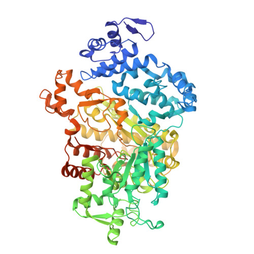 Gene P23921 | Protein RRM1 - Overview | canSAR.ai