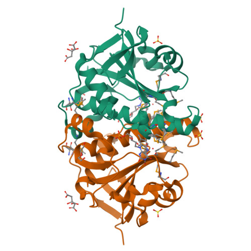 RCSB PDB - 3HOI: Crystal structure of FMN-dependent nitroreductase ...
