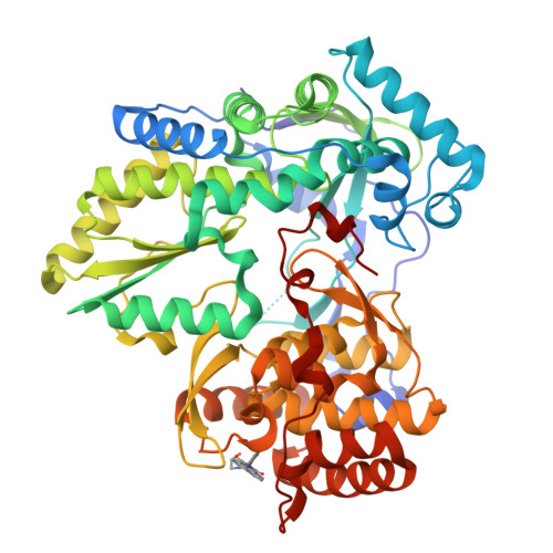 RCSB PDB - 3HVO: Structure of the genotype 2B HCV polymerase bound to a NNI