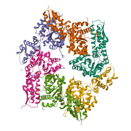RCSB PDB - 3HWS: Crystal structure of nucleotide-bound hexameric ClpX